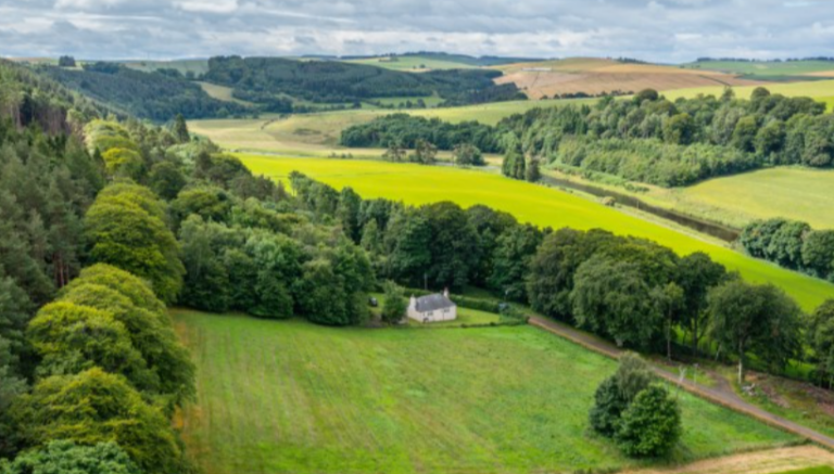 Smallholdings for sale in SCOTLAND